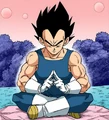 Meditation | Dragon Ball Wiki | Fandom