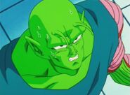 Namekianos | Dragon Ball Wiki Hispano | Fandom