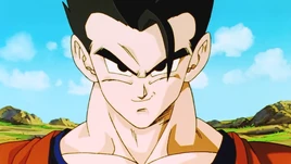 You...Are a Fool | Dragon Ball Wiki | Fandom