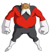 Equipo del Universo 11 | Dragon Ball Wiki Hispano | Fandom