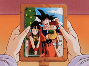 Future Chi-Chi | Dragon Ball Wiki | Fandom