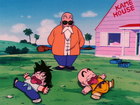 Turtle School | Dragon Ball Wiki | Fandom