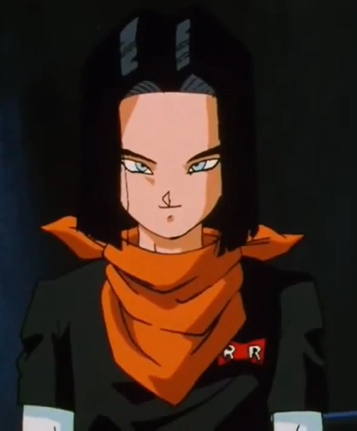 Nummer 17 | Gokupedia | Fandom