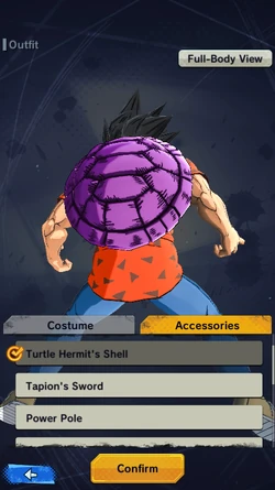 turtle hermits shell