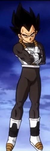 Xeno Vegeta | Dragon Ball Wiki Italia | Fandom