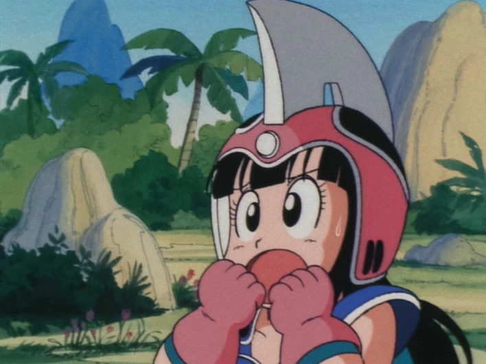 Chi-Chi's Helmet | Dragon Ball Wiki | Fandom