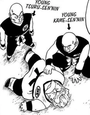 Master Mutaito | Dragon Ball Wiki | Fandom