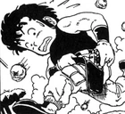 Pola & Roid | Dragon Ball Wiki | Fandom