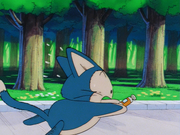 Puar | Dragon Ball Wiki | Fandom