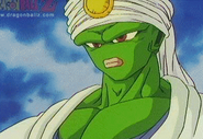 Paikuhan | Dragon Ball Wiki Hispano | Fandom