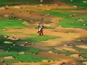 Sacred Land of Korin | Dragon Ball Wiki | Fandom