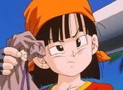 Pan | Dragon Ball Wiki | Fandom