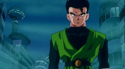 Hirudegarn Vs Gohan
