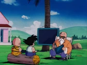 Master Roshi's Training | Dragon Ball Wiki | Fandom