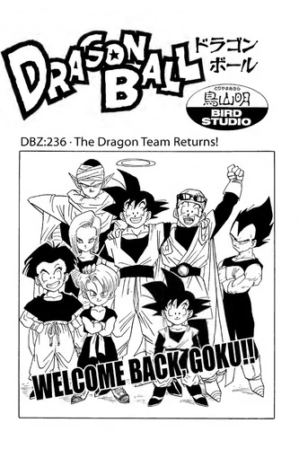 The Dragon Team Returns! | Dragon Ball Wiki | Fandom