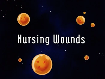 Nursing Wounds | Dragon Ball Wiki | Fandom