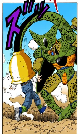 Super 17 Cell Absorbed