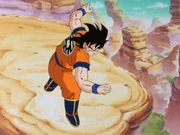 Fighting Pose | Dragon Ball Wiki | Fandom