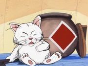 Korin | Dragon Ball Wiki | Fandom