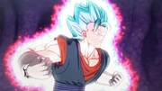 Vegito | Dragon Ball Wiki | Fandom
