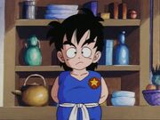 Shoken | Dragon Ball Wiki | Fandom