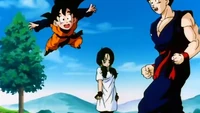 Take Flight, Videl | Dragon Ball Wiki | Fandom