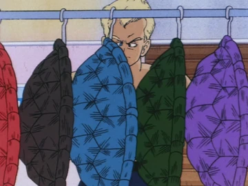 turtle hermits shell