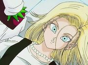 Android 18/Biography | Dragon Ball Wiki | Fandom