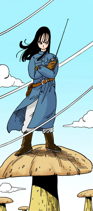 Dragonball Evolutie Mei Mai | Dragon Ball Wiki | Fandom
