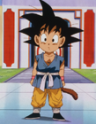 Gi | Dragon Ball Wiki | Fandom