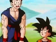 Take Flight, Videl | Dragon Ball Wiki | Fandom