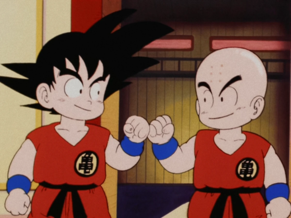 Master Roshi's Training | Dragon Ball Wiki | Fandom