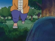 The Turtle Hermit Way | Dragon Ball Wiki | Fandom