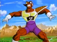 Naise | Dragon Ball Wiki Hispano | Fandom