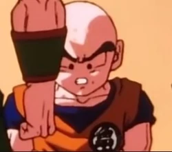 Future Krillin