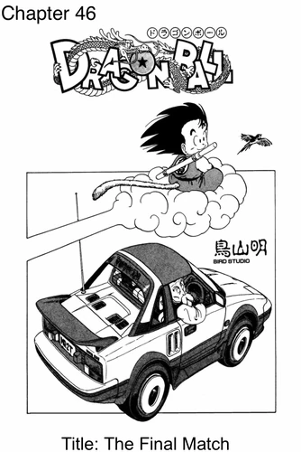 The Final Match | Dragon Ball Wiki | Fandom