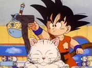 Karin | Dragon Ball Wiki Italia | Fandom