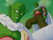 Warrior-type Namekian | Dragon Ball Wiki | Fandom