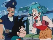 Bulma/Biography | Dragon Ball Wiki | Fandom