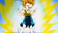 Take Flight, Videl | Dragon Ball Wiki | Fandom