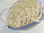 Caterpy | Dragon Ball Wiki | Fandom