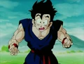 Take Flight, Videl | Dragon Ball Wiki | Fandom