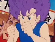 Lan-Fan | Dragon Ball Wiki Hispano | Fandom