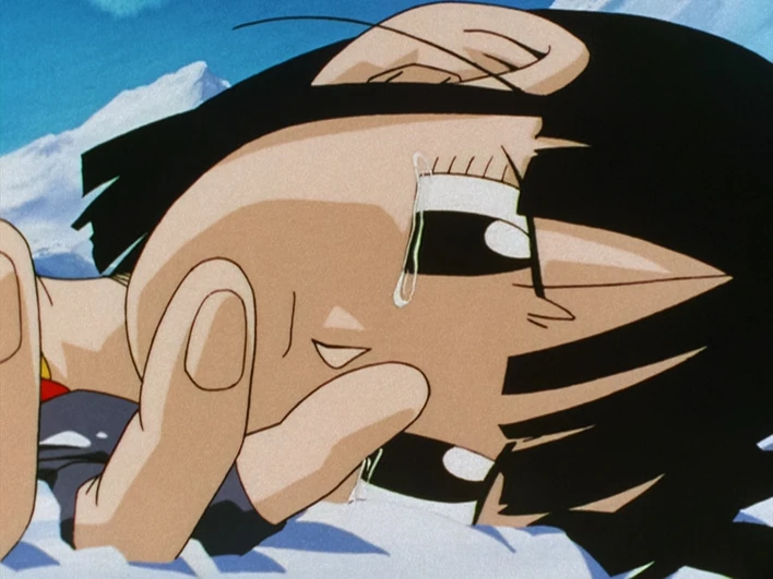 Dbz Gt Pan 34