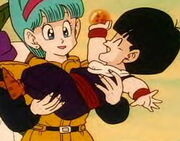 The Search Continues | Dragon Ball Wiki | Fandom