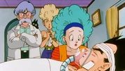 Brief family | Dragon Ball Wiki | Fandom