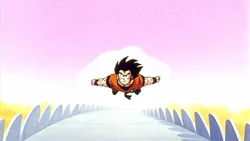 Dbz Flying