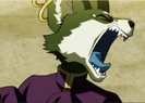 Majora | Dragon Ball Wiki | Fandom