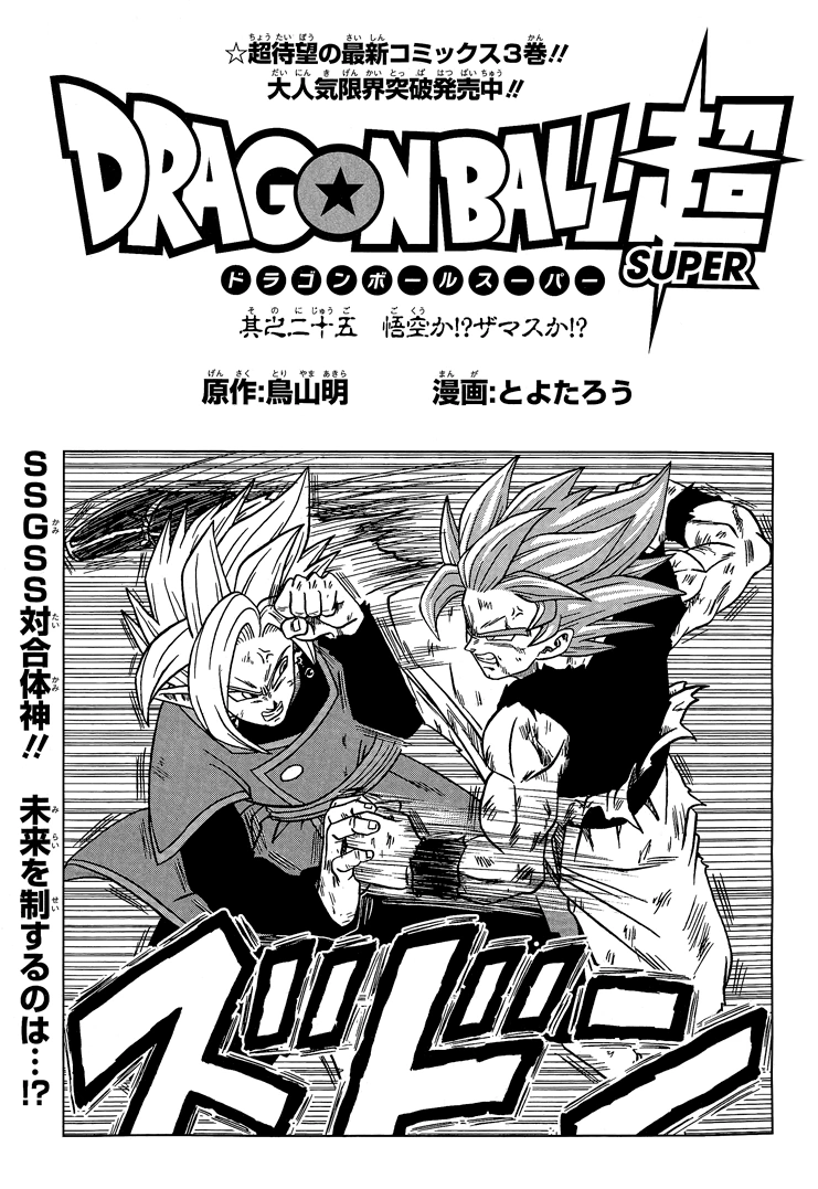 Capítulo 25 (Dragon Ball Super) | Dragon Ball Wiki Hispano | Fandom