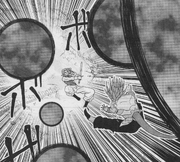 Fin | Dragon Ball Wiki | Fandom